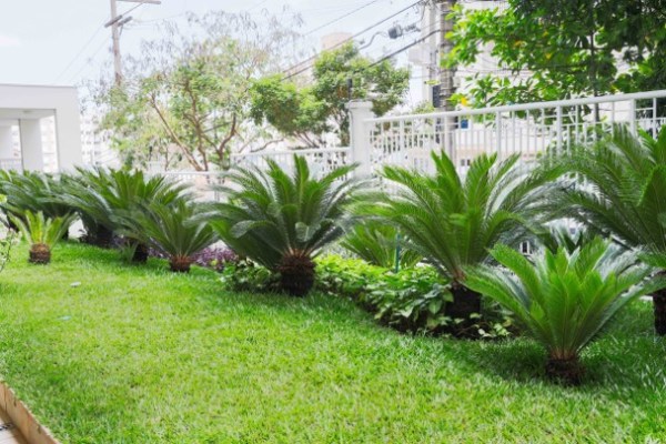 Condomínio Residencial - Maria Aurea Picarelli - PAPO DE PAISAGISTA