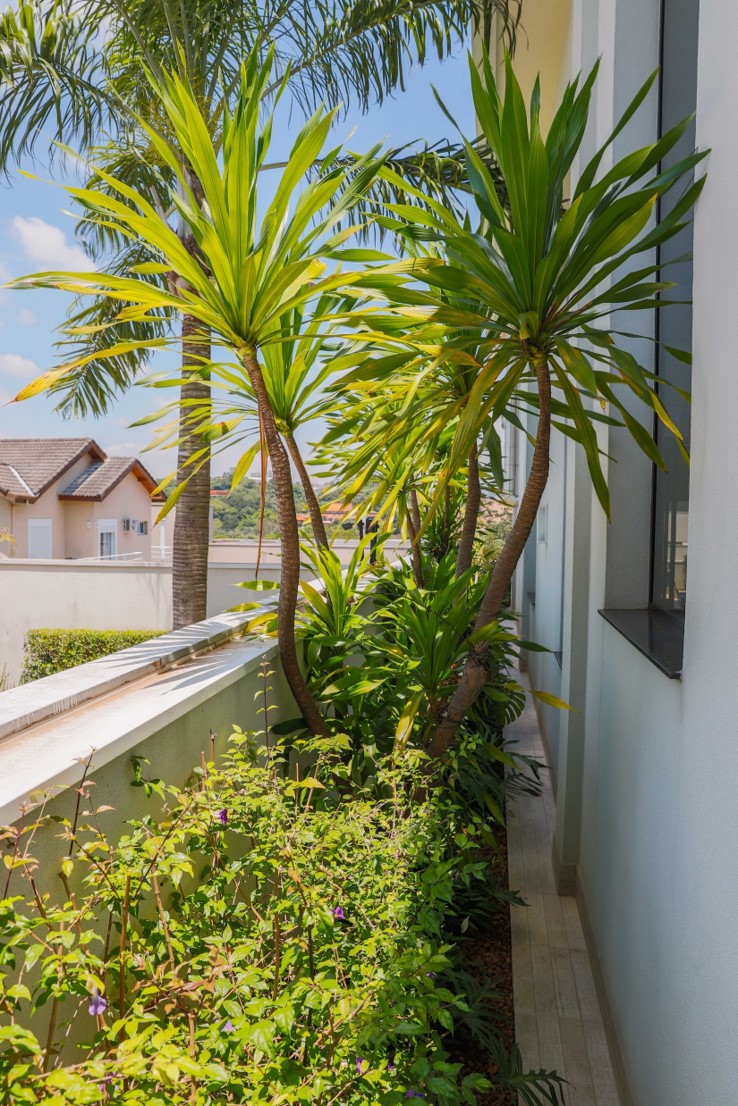 Casa 2 - Maria Aurea Picarelli - PAPO DE PAISAGISTA