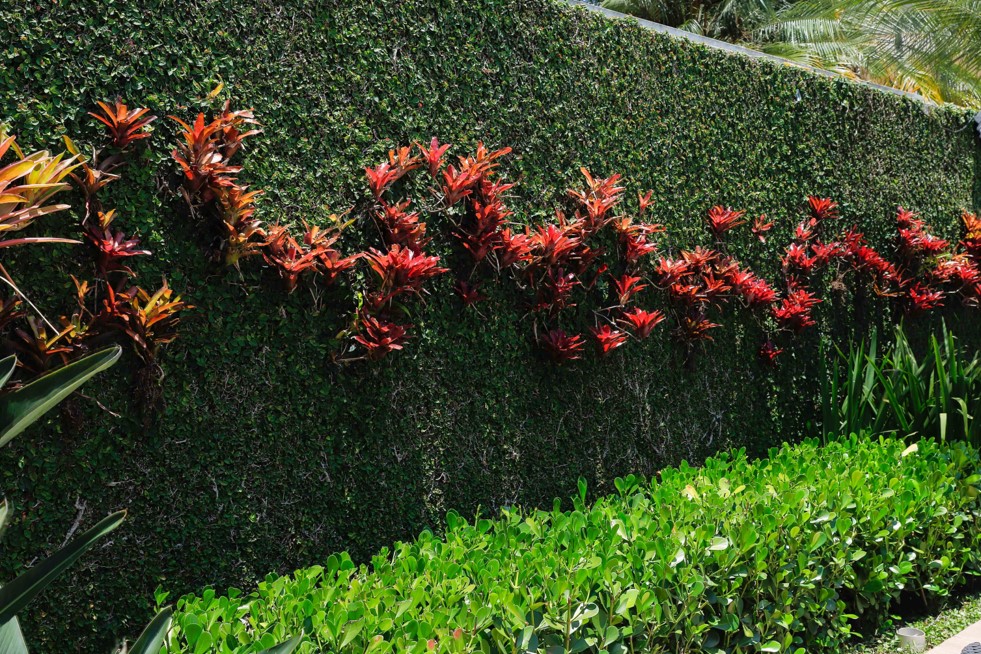 Casa 3 - Maria Aurea Picarelli - PAPO DE PAISAGISTA