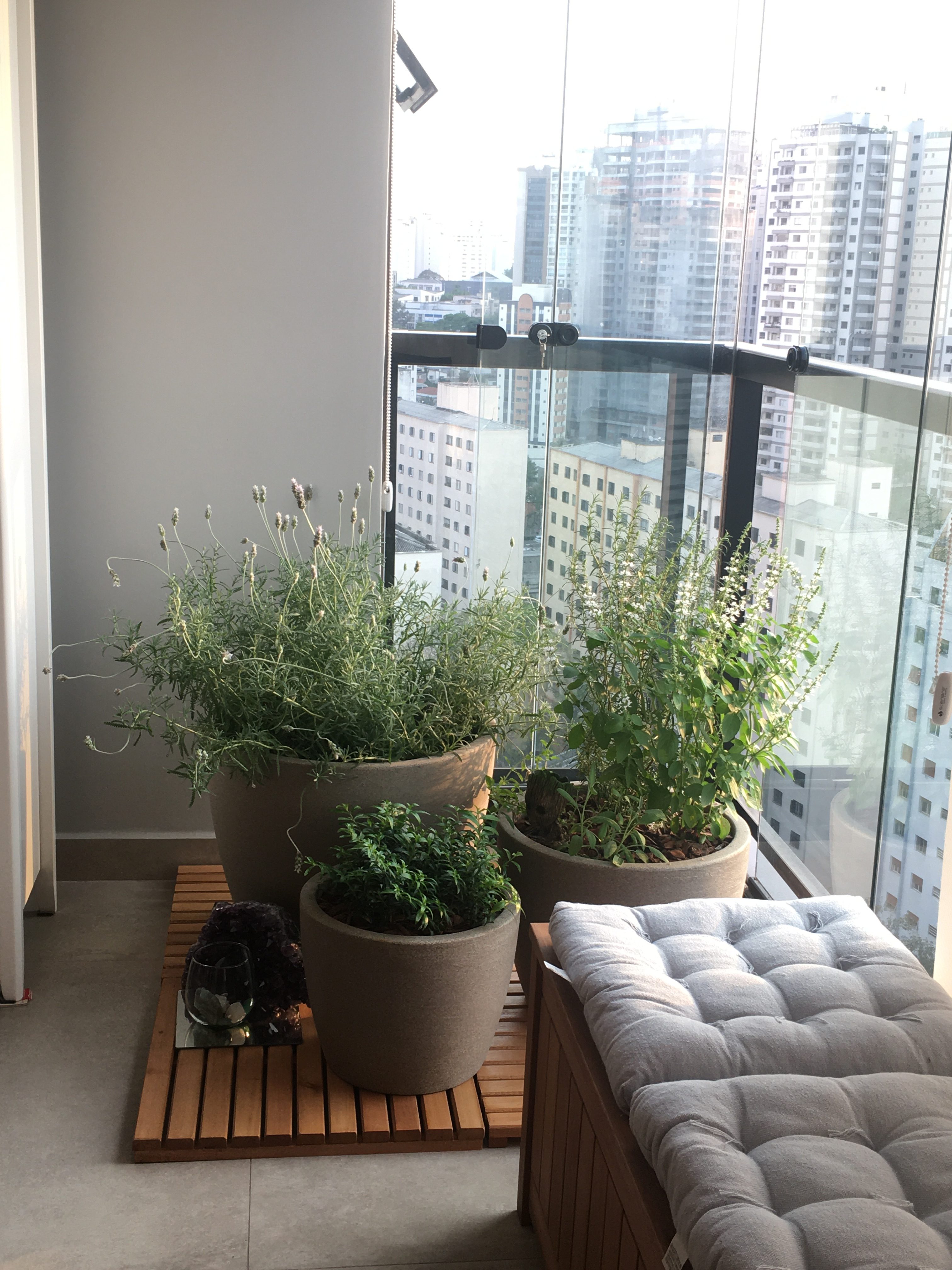 Cantinho Verde (Sao Paulo / SP) - Michele Teston - PAPO DE PAISAGISTA