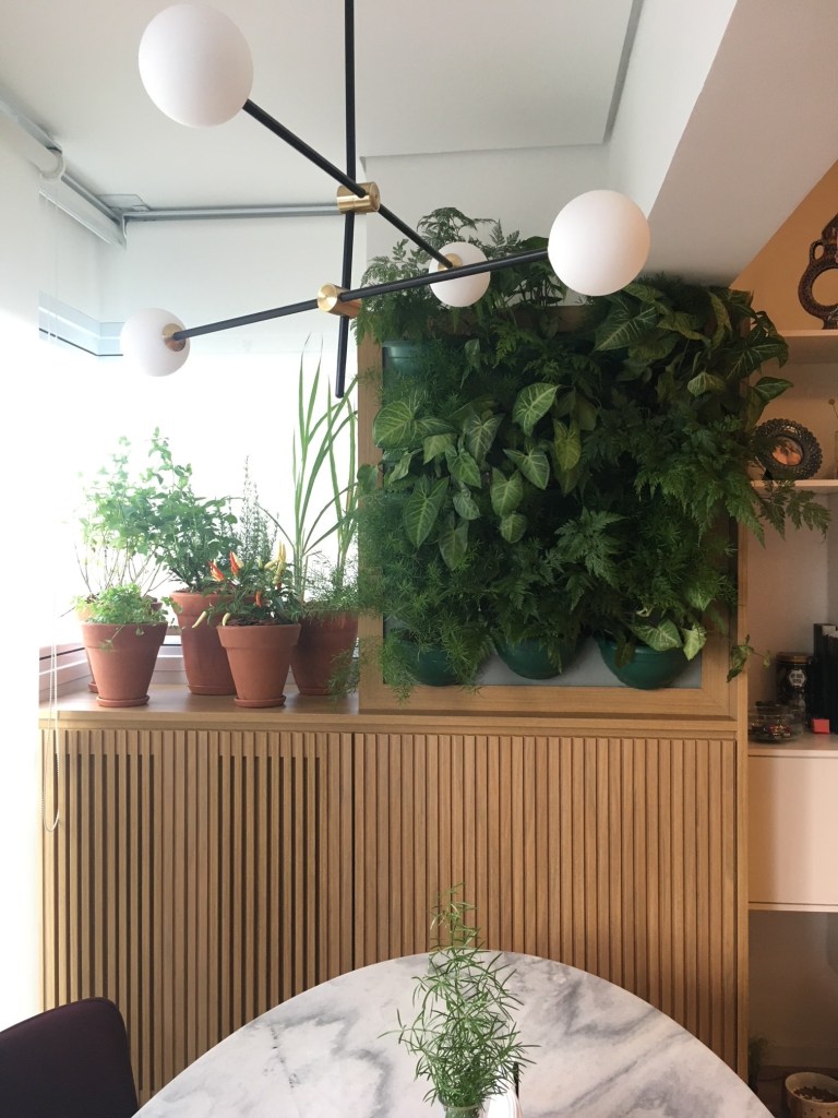 Jardim Vertical (São Paulo / SP) - Michele Teston - PAPO DE PAISAGISTA