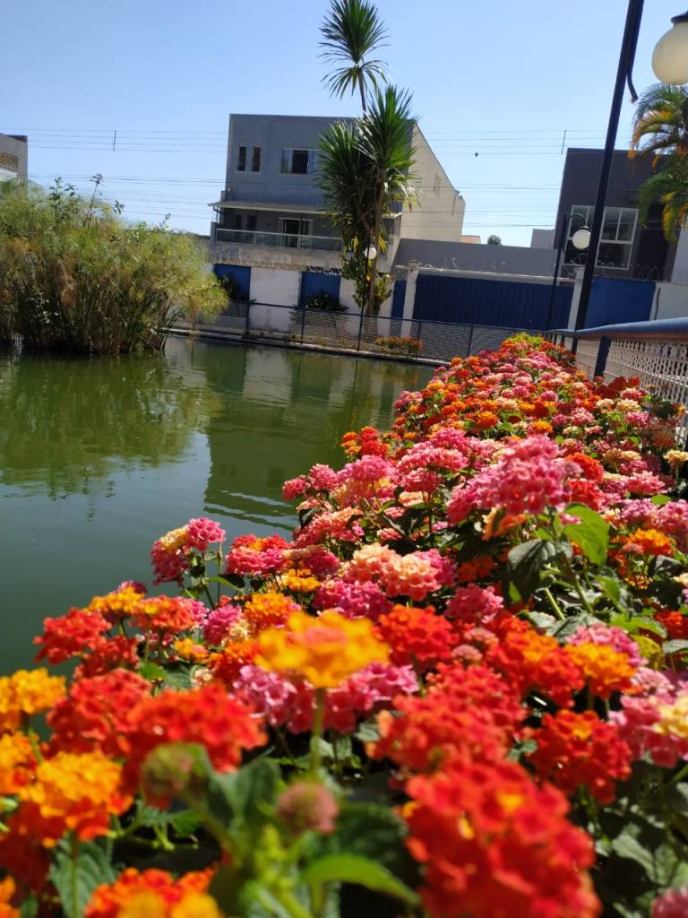 Clube Dom Pedro II (Conselheiro Lafaiete / MG) - Mariana Figueiroa - PAPO DE PAISAGISTA